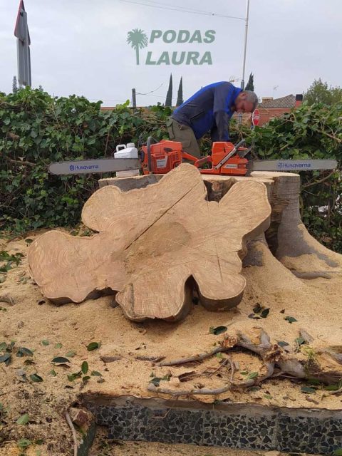 Extraer un tocón - Podas Laura